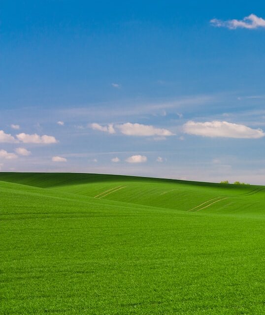 Navigator - Real Estate Limited